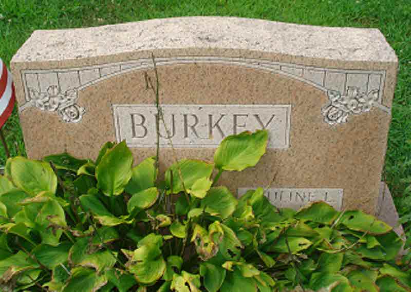 William Gregg Descendants - Person Page